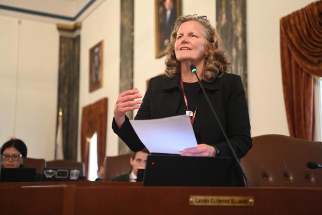 Illinois State Senator Laura Ellman